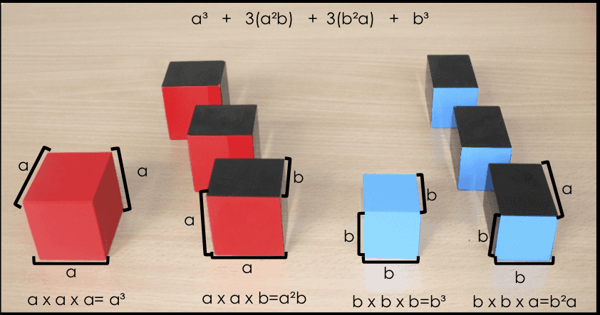 Material Spotlight: The Binomial Cube